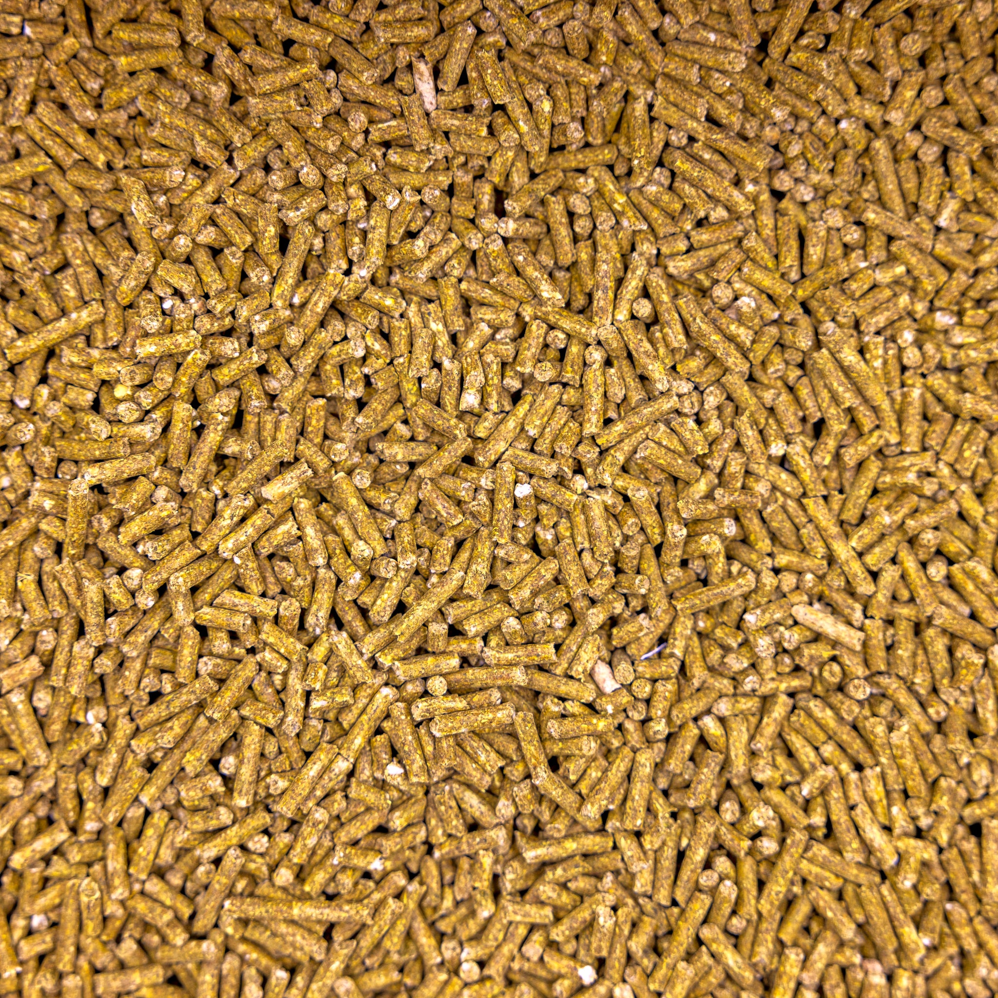 Core Complete – Core Balance